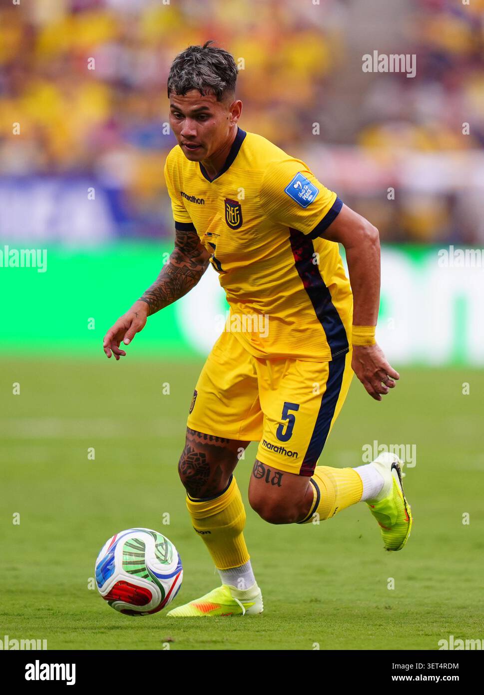 Ecuador's Jordy Alcivar during the FIFA World Cup Group E match at ...