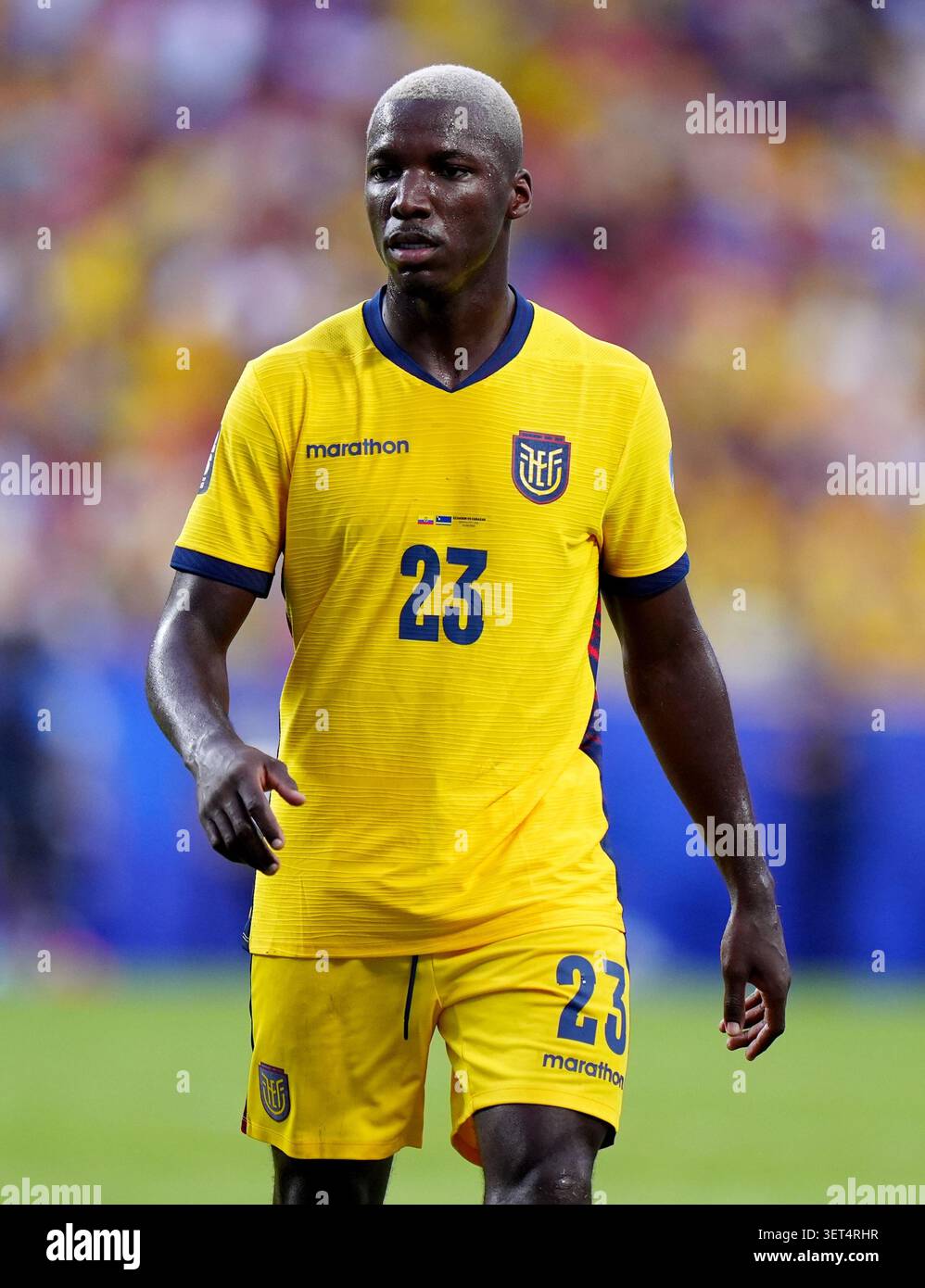 Ecuador's Moises Caicedo during the FIFA World Cup Group E match at ...