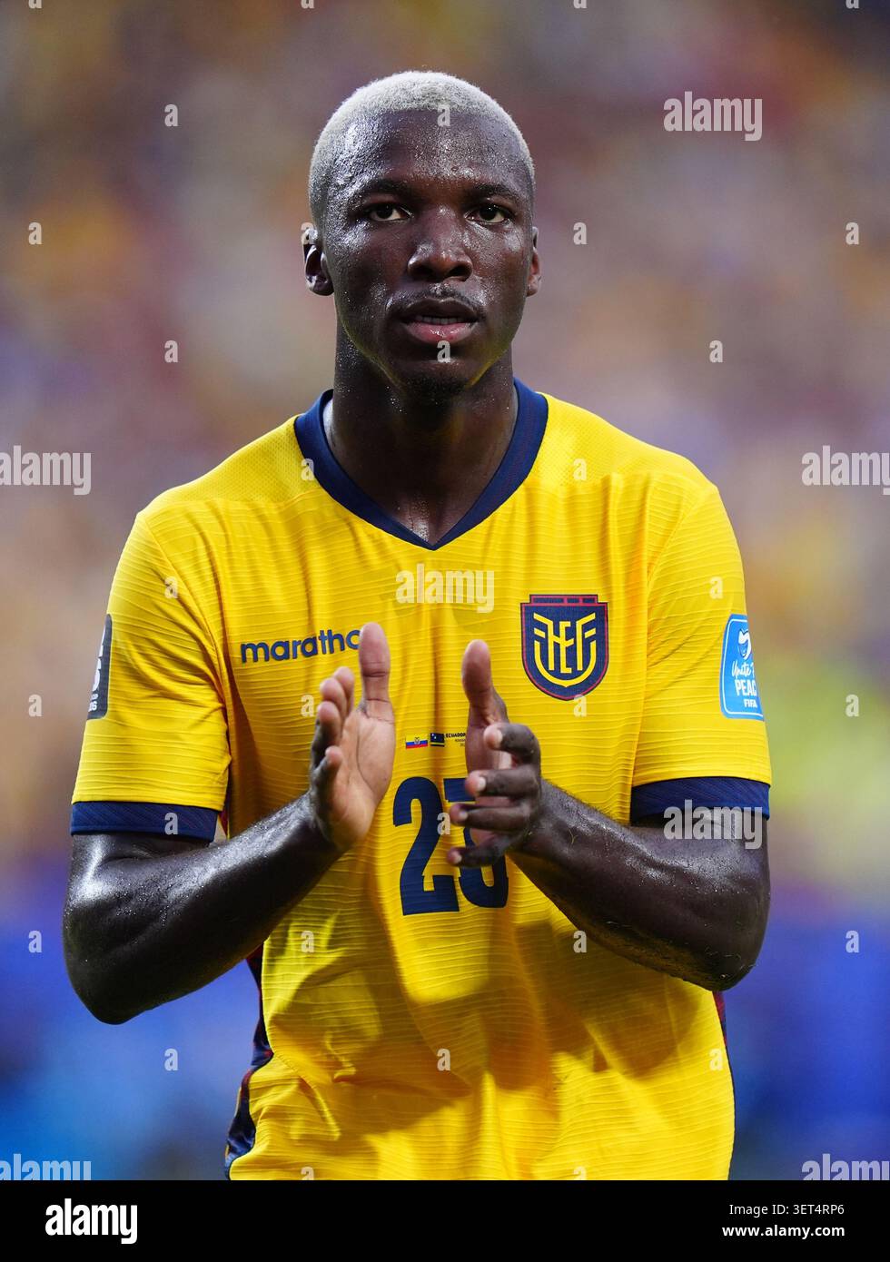 Ecuador's Moises Caicedo during the FIFA World Cup Group E match at ...