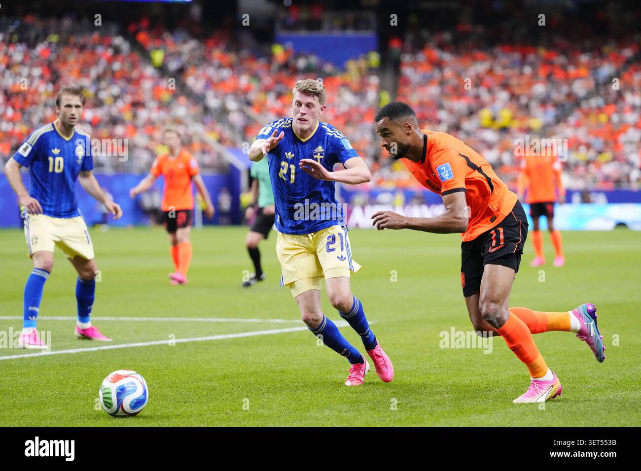 IPA85903563 - Cody Gakpo of Netherlands and Alexander Bernhardsson of ...