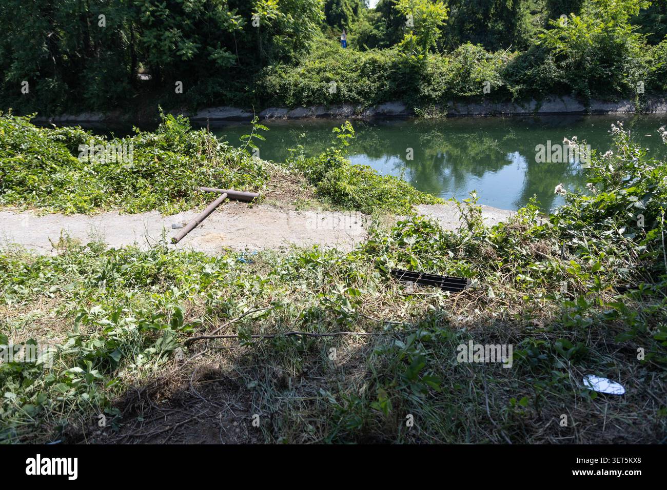 IPA85906017 - Milan, Senago, Villoresi Bike Path, Road to Cesate, June ...