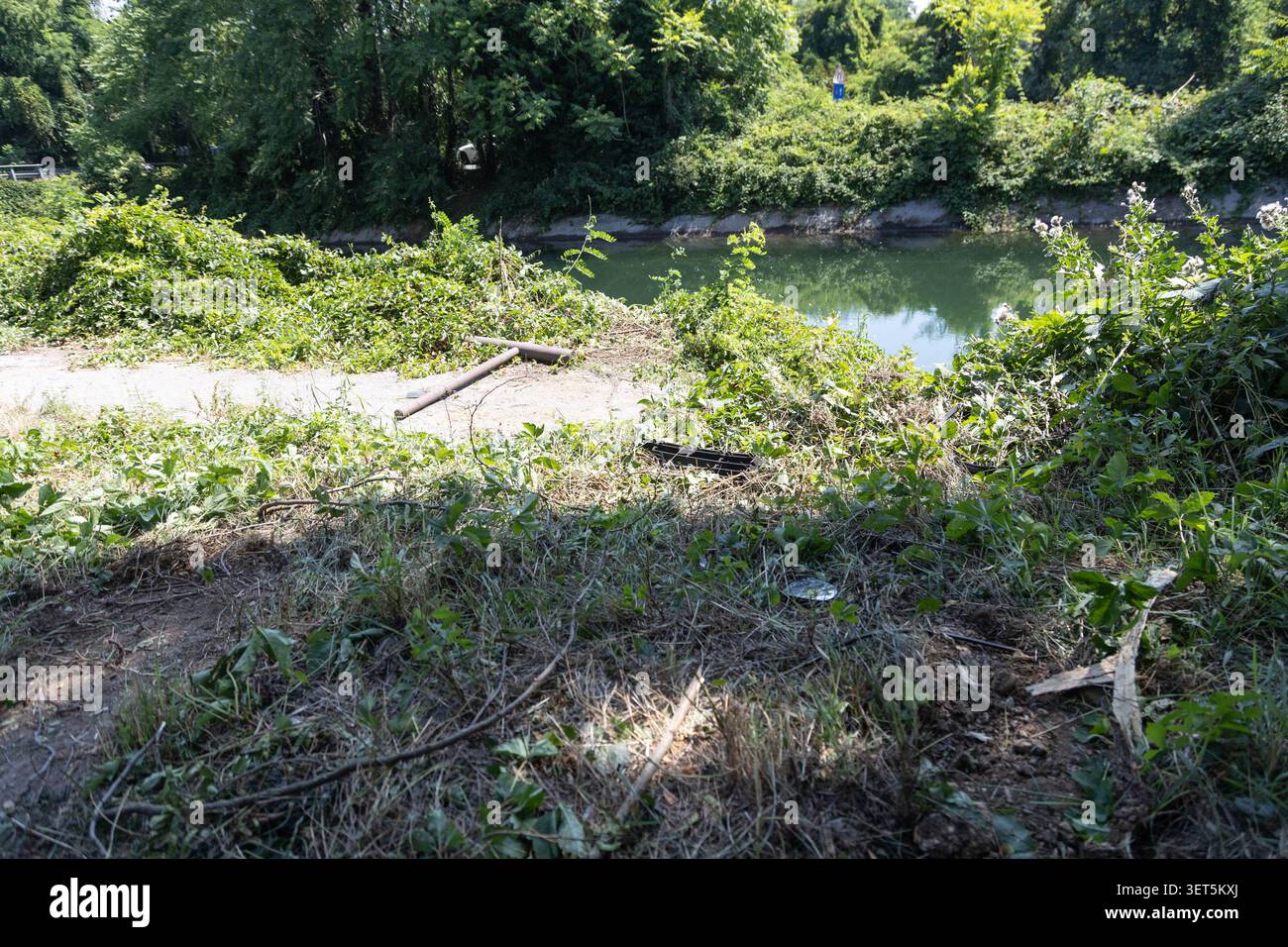 IPA85906026 - Milan, Senago, Villoresi Bike Path, Road to Cesate, June ...