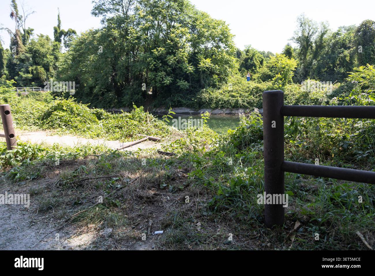 IPA85905978 - Milan, Senago, Villoresi Bike Path, Road to Cesate, June ...
