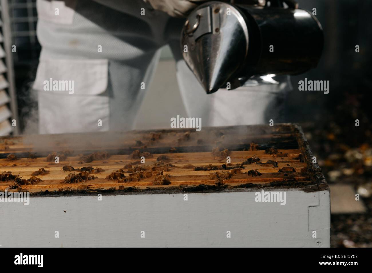 Firefighter turned beekeeper Simon Mildren handels a bee hive in ...