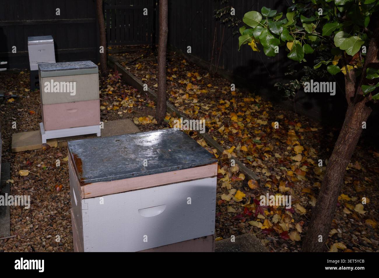 Firefighter turned beekeeper Simon MildrenÕs bee hives are seen in ...
