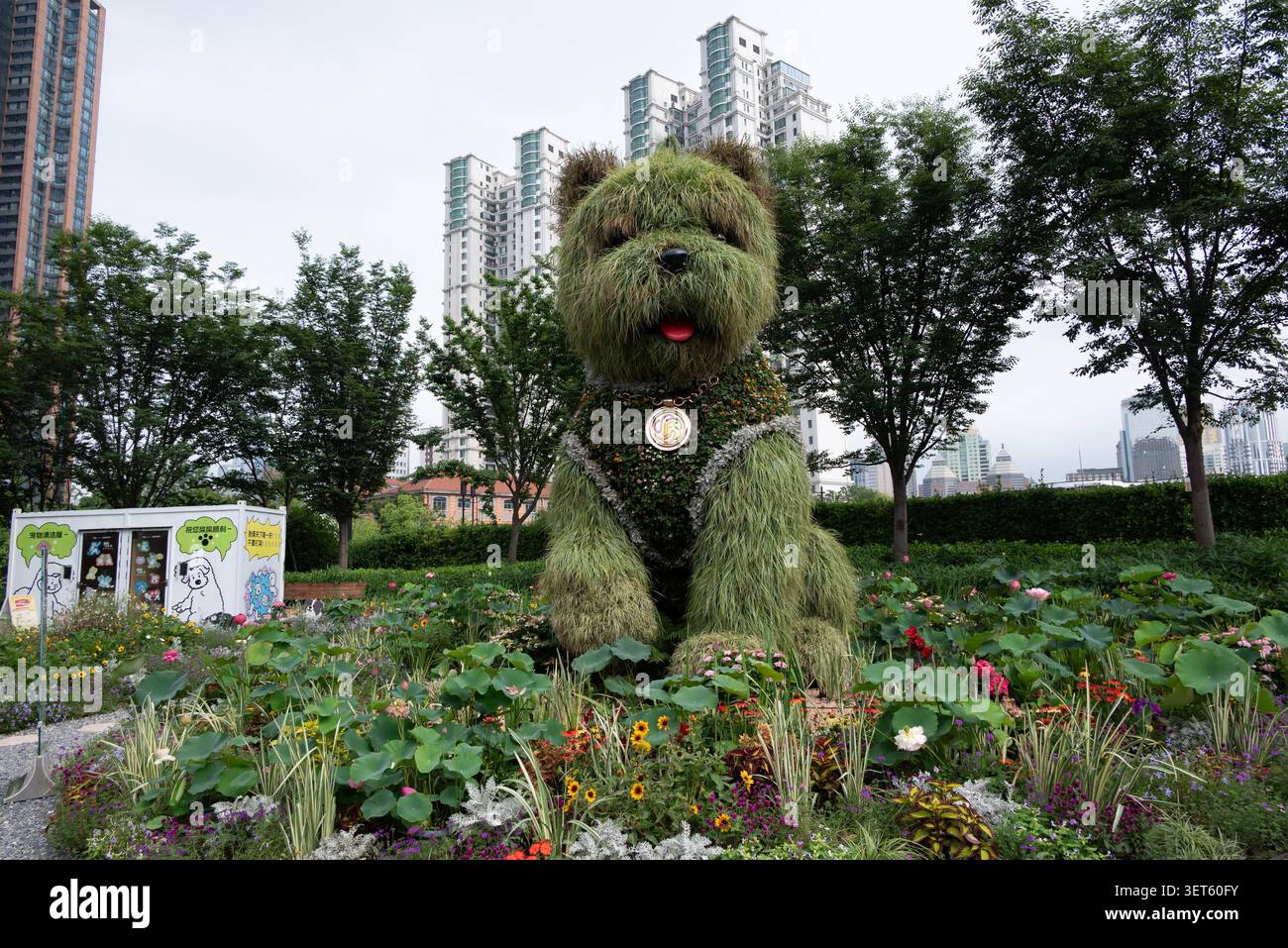 Visitors take photos with the viral 'Shaggy Dog' topiary after its ...
