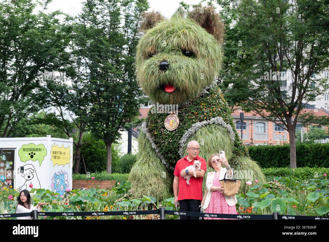 Visitors take photos with the viral 'Shaggy Dog' topiary after its ...