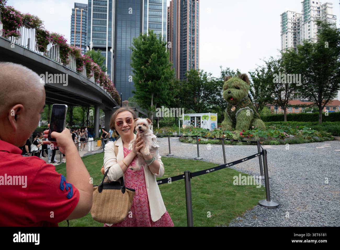 Visitors take photos with the viral 'Shaggy Dog' topiary after its ...