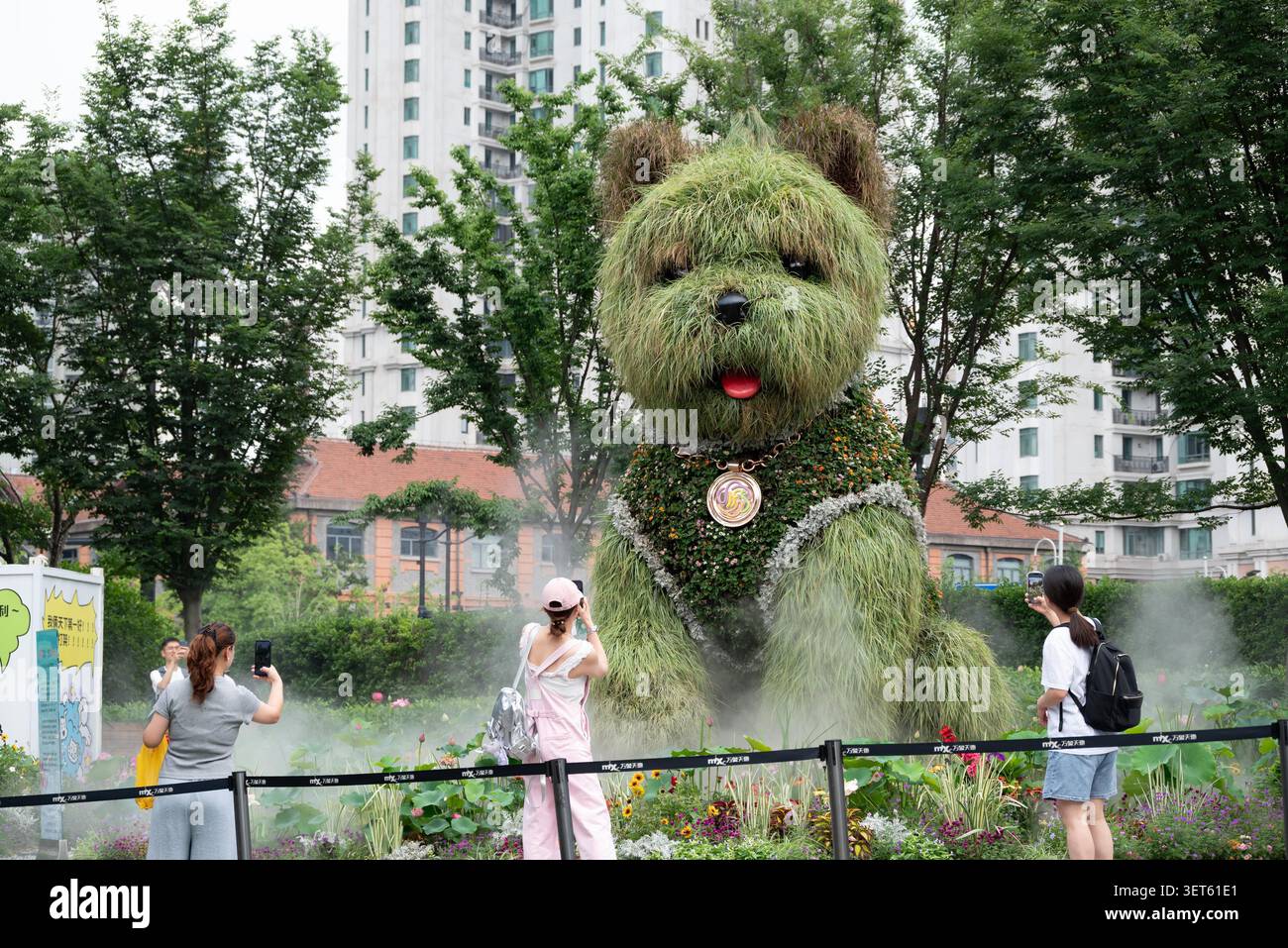 Visitors take photos with the viral 'Shaggy Dog' topiary after its ...