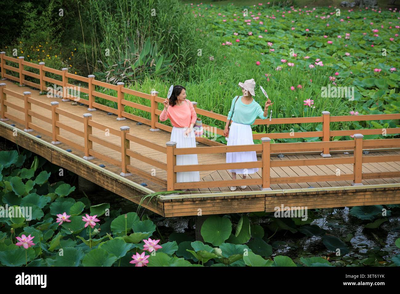Tourists admire blooming lotuses at the Grand Canal Sanwan Wetland Park ...
