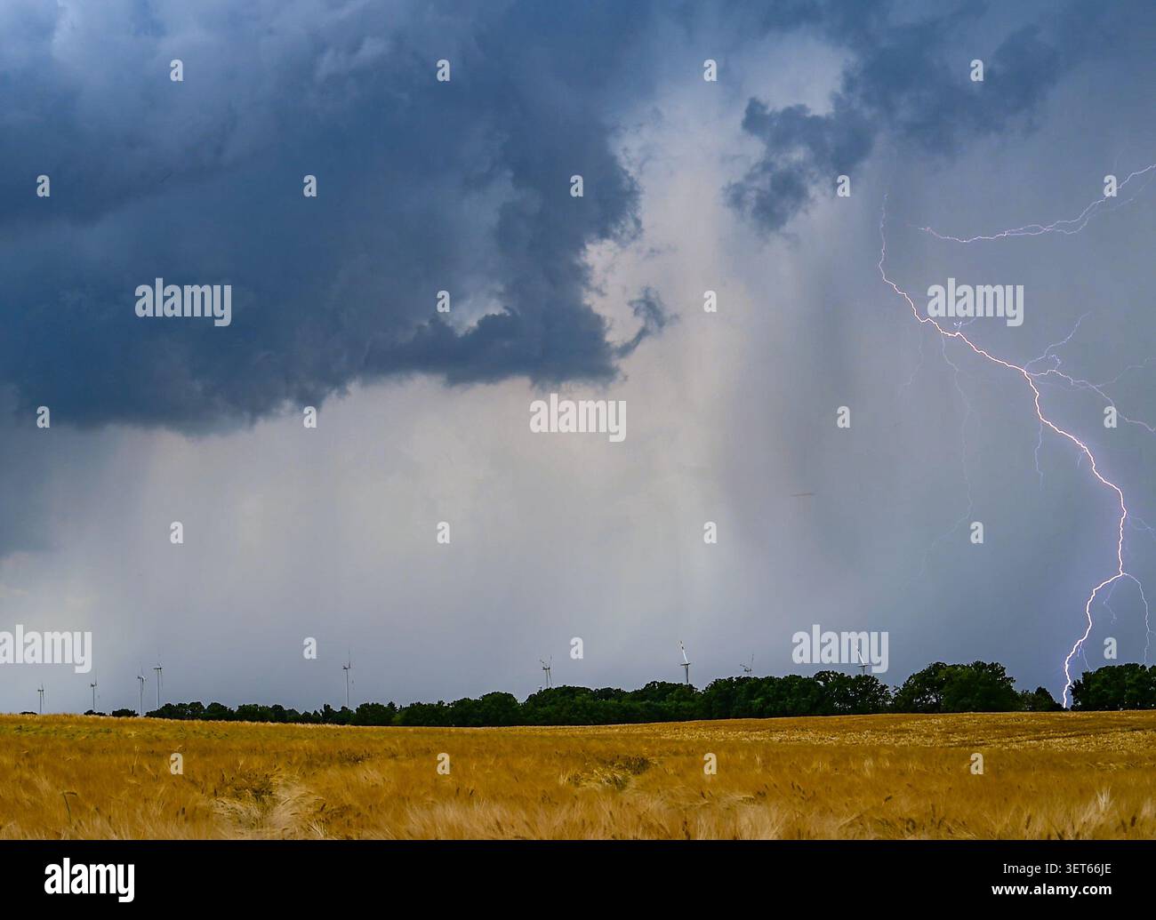 21 June 2026, Brandenburg, Treplin: A flash of lightning illuminates ...