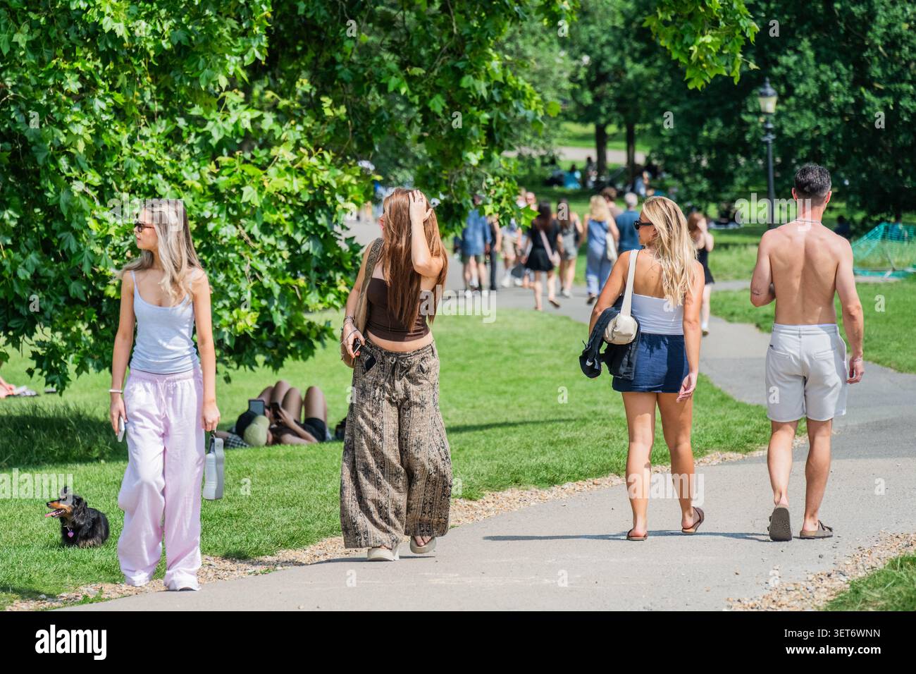 Some strip off to sunbathe others use umbrellas as parasols to provide ...