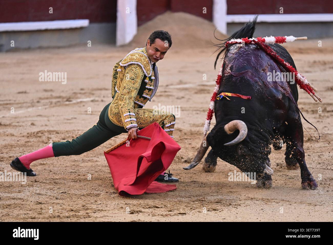 Bullfighter Juan Pablo Sánchez during the bullfight with bulls from the ...