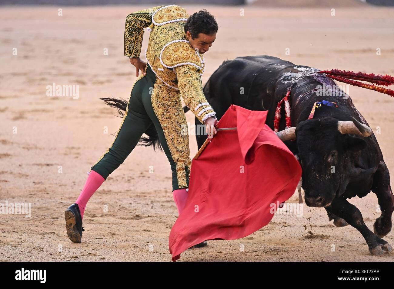 Bullfighter Juan Pablo Sánchez during the bullfight with bulls from the ...
