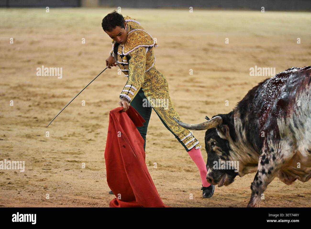 Bullfighter Juan Pablo Sánchez during the bullfight with bulls from the ...