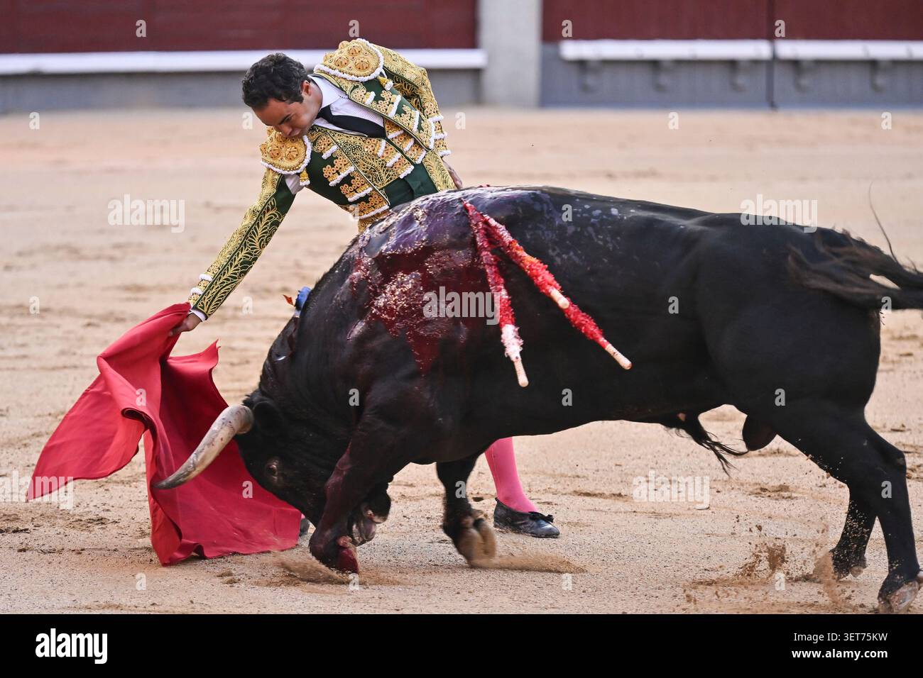 Bullfighter Juan Pablo Sánchez during the bullfight with bulls from the ...