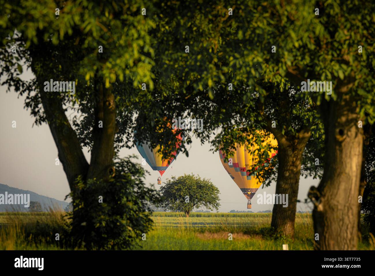 Meeting of pilots and owners of hot air balloons, on June 21, 2026, in ...
