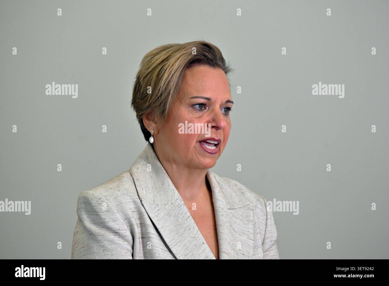 Attorney-General Michelle Rowland speaks to journalists in the Press ...