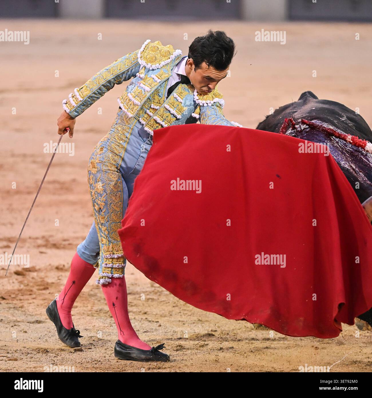 Bullfighter Cristian Perez seen during the bullfight with bulls from ...