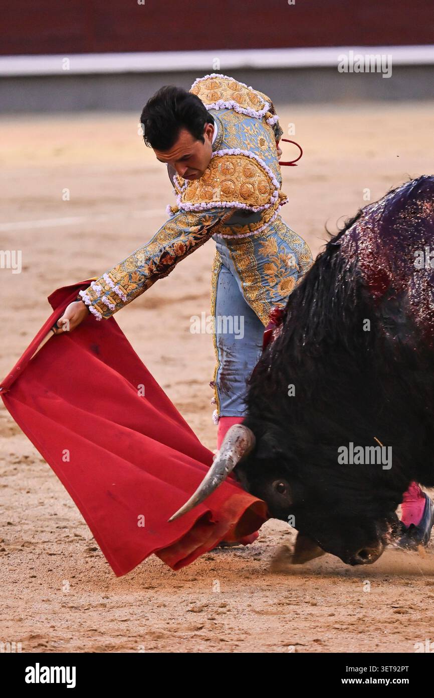Bullfighter Cristian Perez seen during the bullfight with bulls from ...