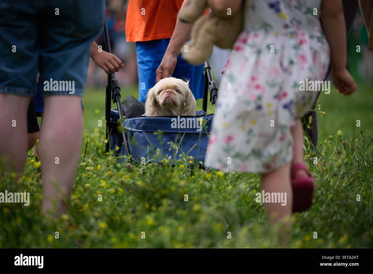 (260622) -- WARSAW, June 22, 2026 (Xinhua) -- People attend an event ...