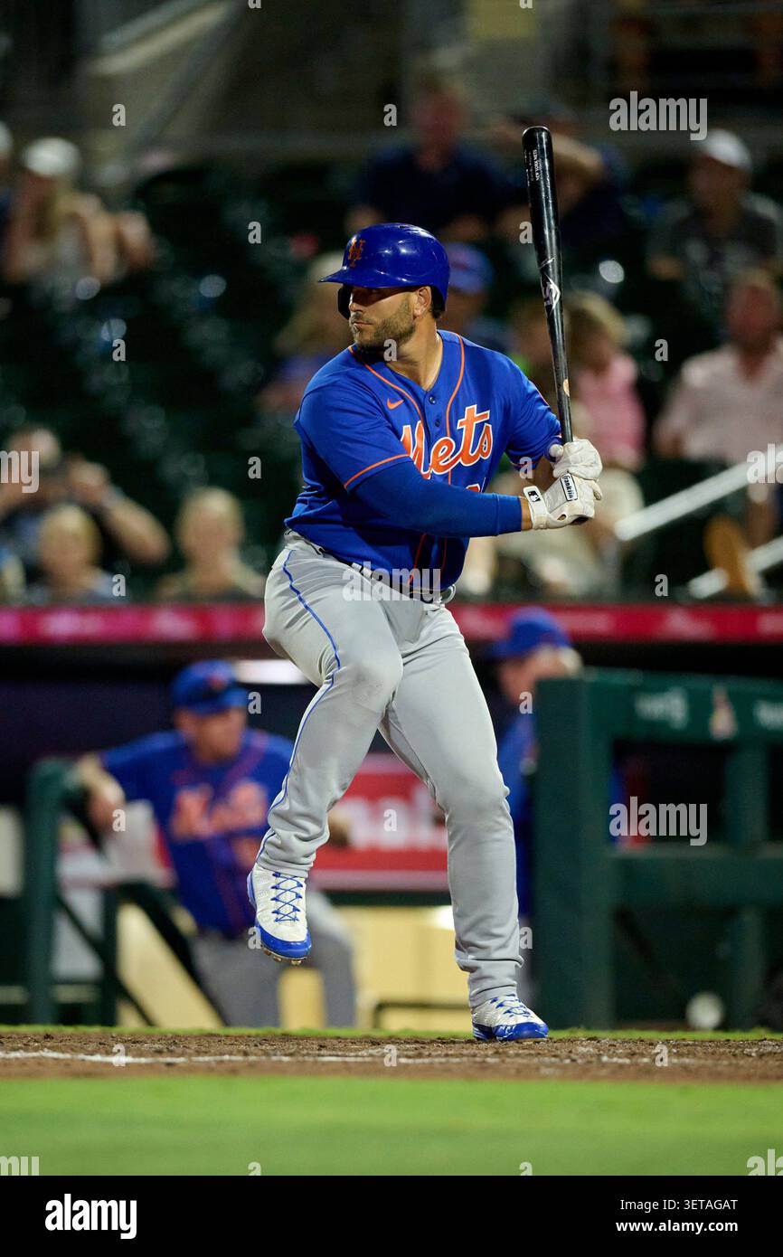 New York Mets Daniel Palka (81) bats during an MLB Spring Training game ...