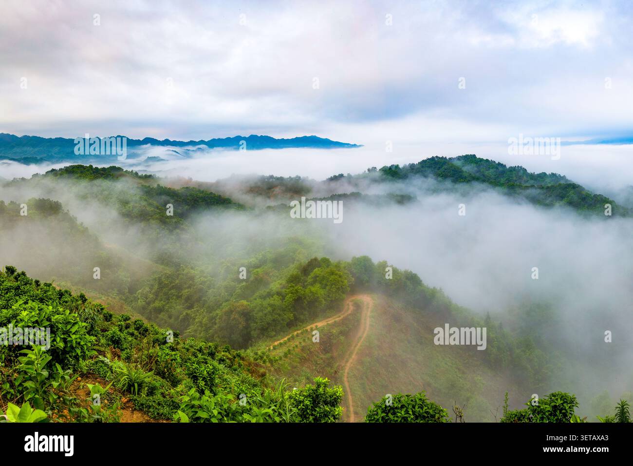 WUZHOU, CHINA - JUNE 22, 2026 - Rainy morning scenery in the ...
