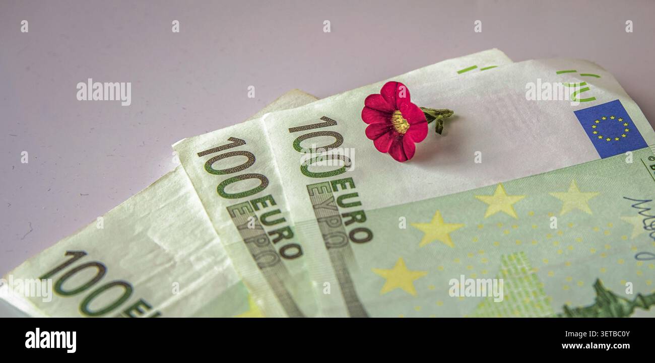 Euro Banknotes with Pink Flower Representing Love Wealth Financial Gift ...