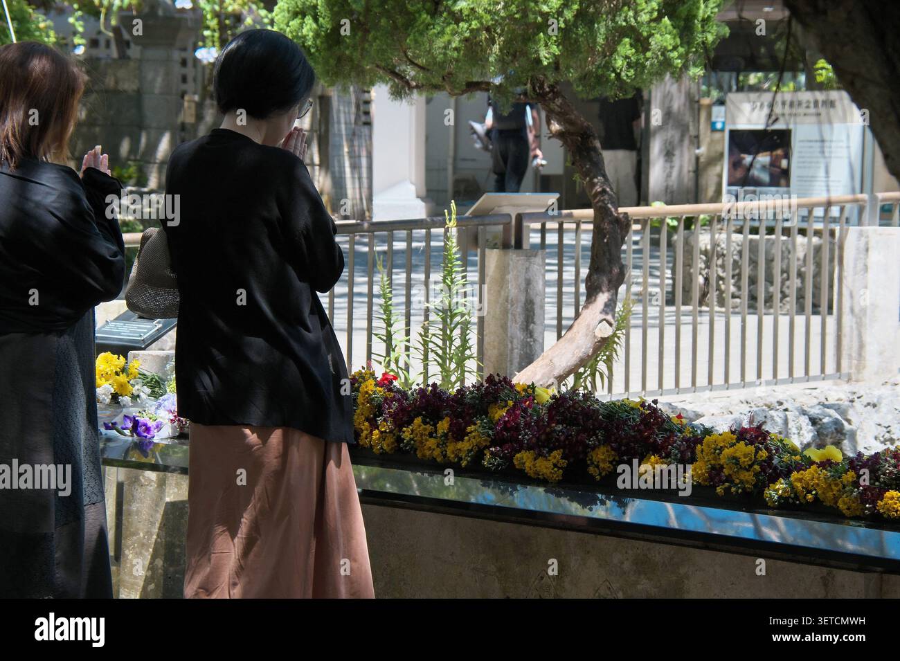 Visitors offer flowers and pray at the Himeyuri cenotaph by a cave in ...