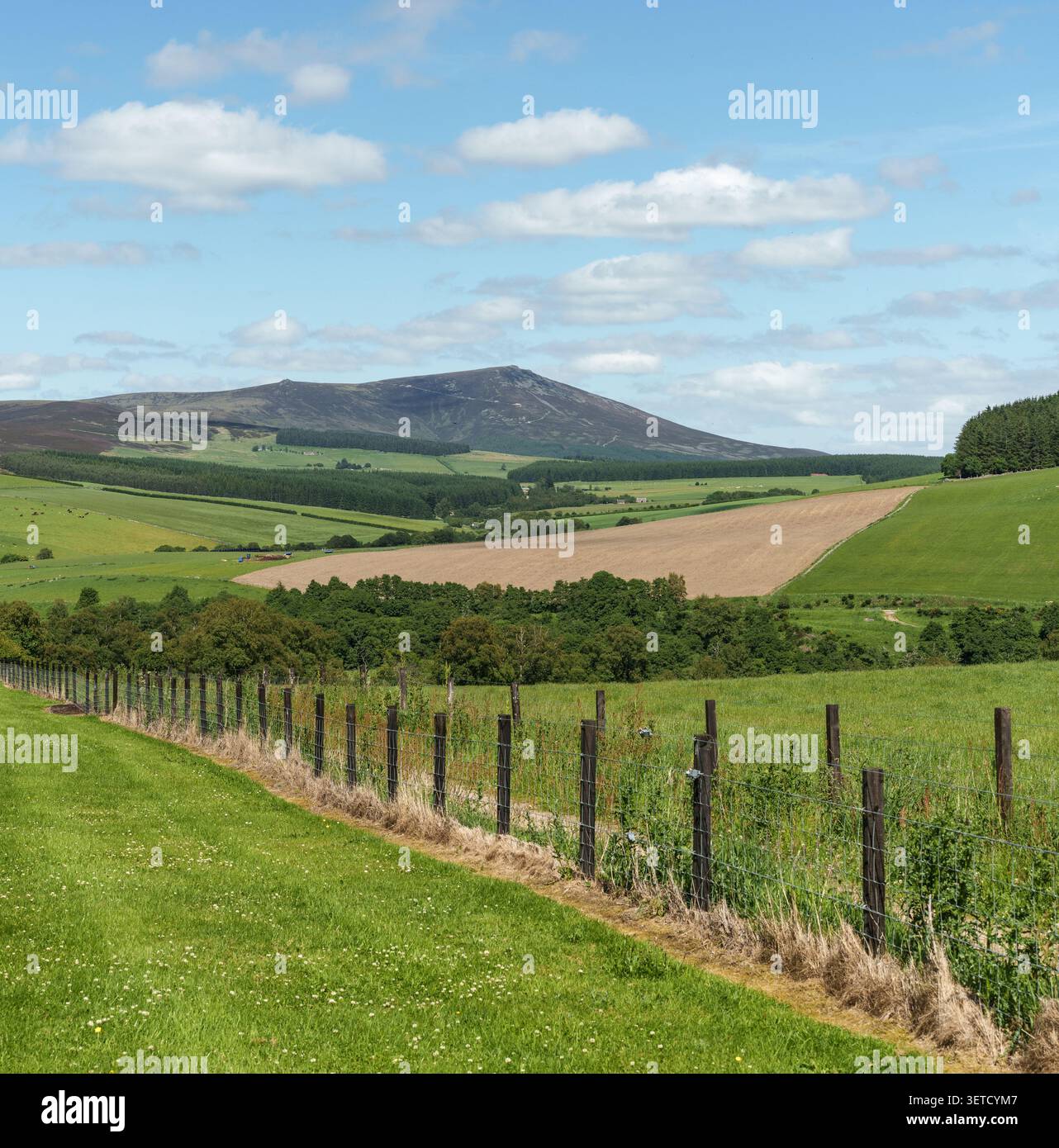 A vast landscape unfolds with Ben Rinnes Mountain under a bright sky ...