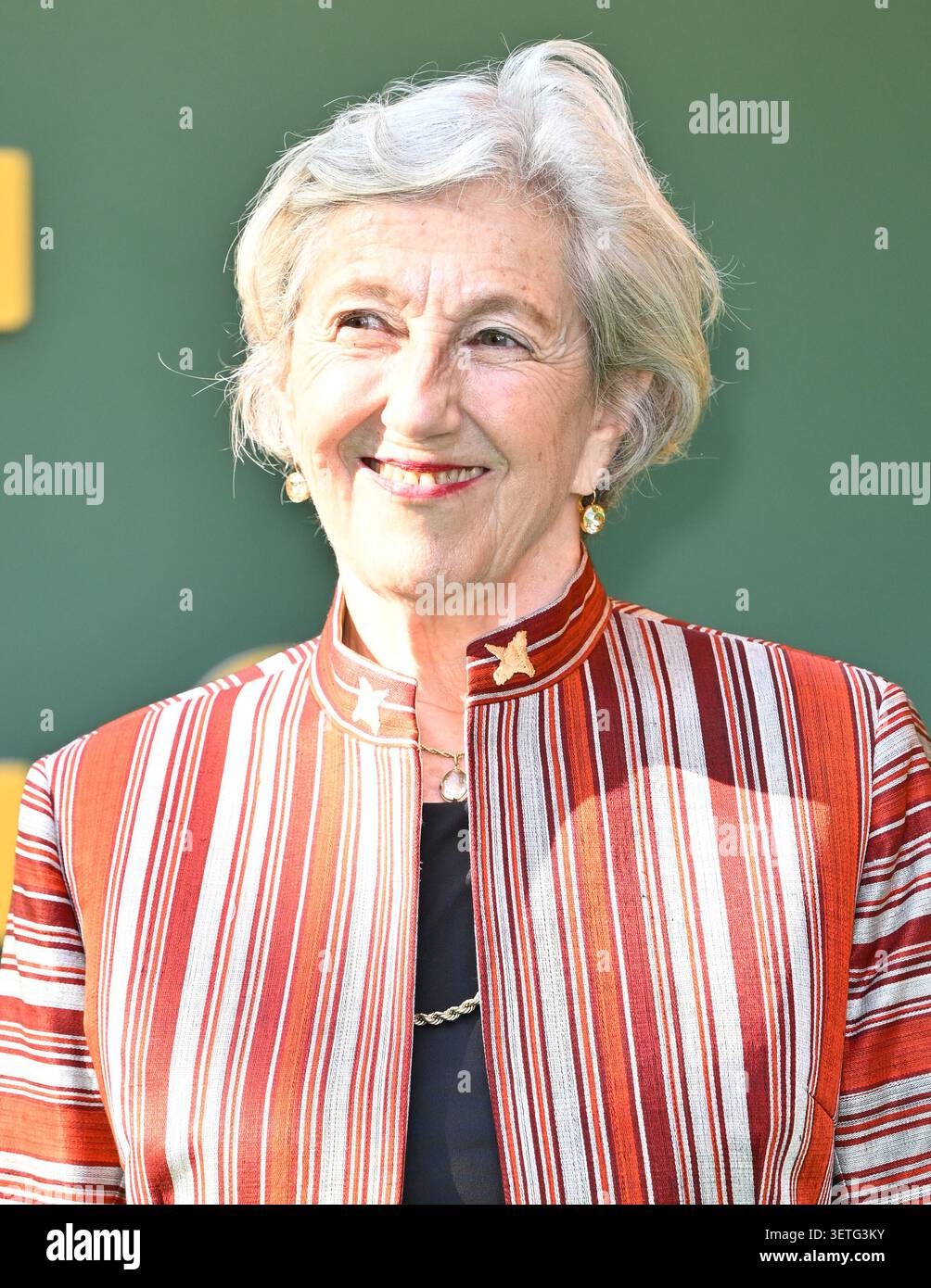LONDON, ENGLAND - JUNE 22: Julia Marton-Lefevre attends the "How to ...