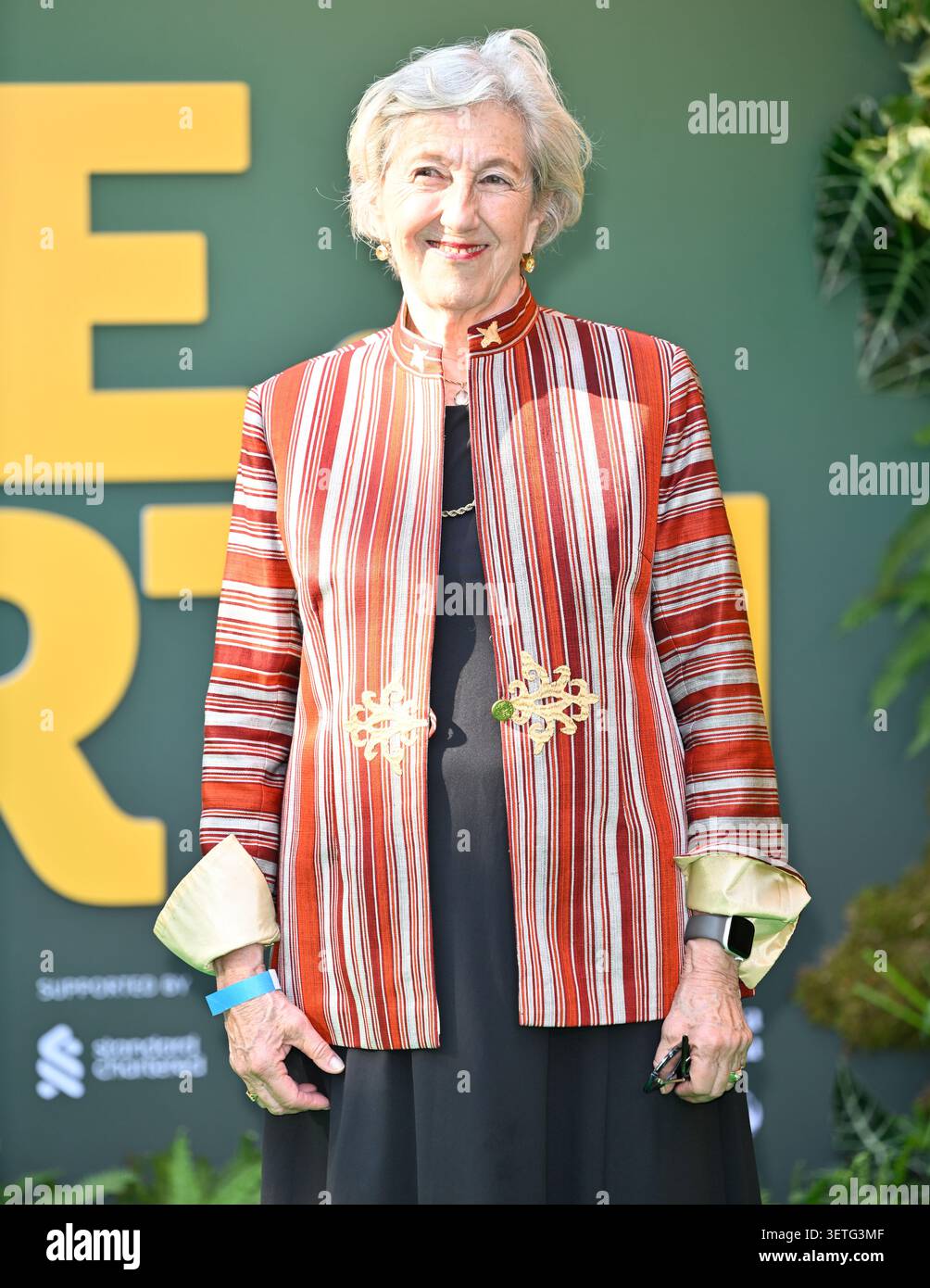 LONDON, ENGLAND - JUNE 22: Julia Marton-Lefevre attends the "How to ...