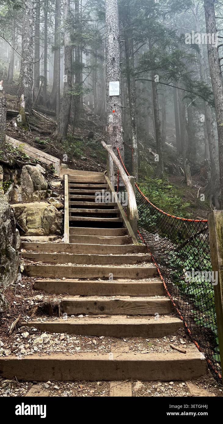 A long flight of timber steps with a rustic log handrail rises into ...