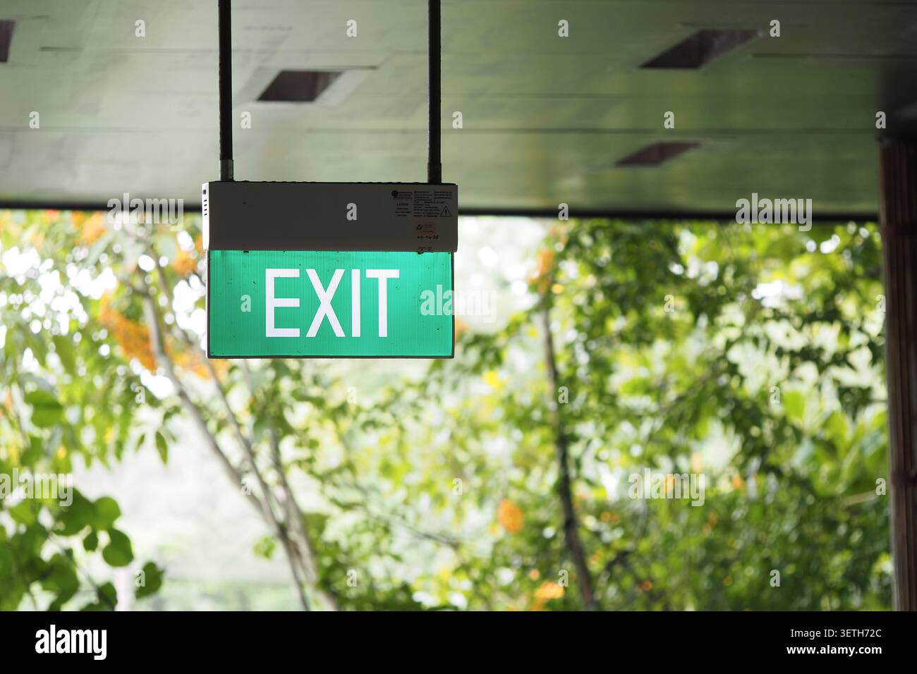 Green exit sign hangs in a building surrounded by plants Stock Photo ...