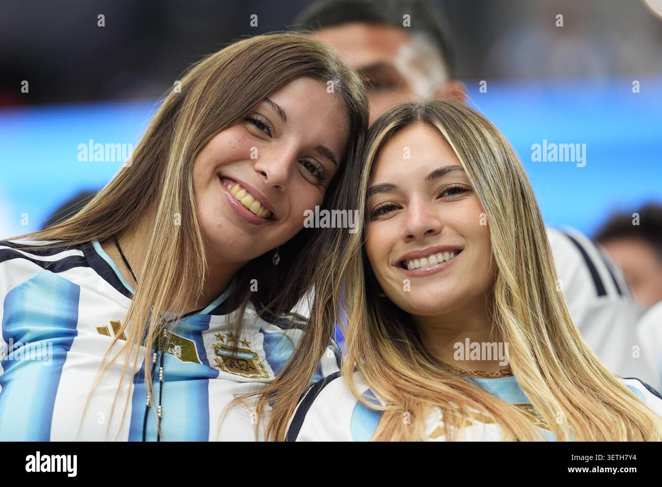 Argentine fans celebrate Argentina's victory over Austria in Group J of ...