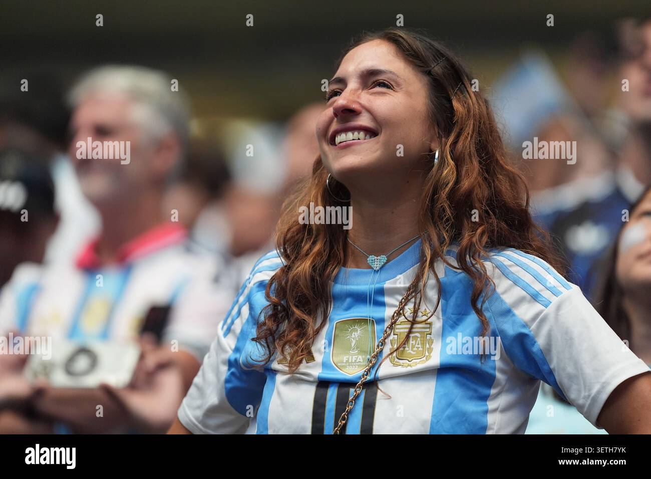 Argentine fans celebrate Argentina's victory over Austria in Group J of ...