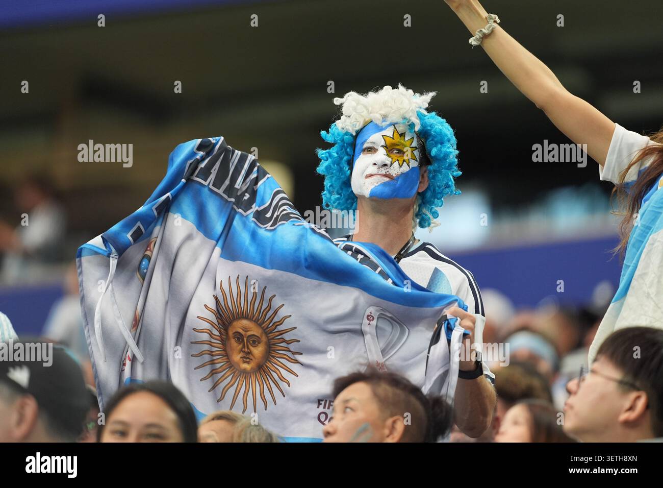 Argentine fans celebrate Argentina's victory over Austria in Group J of ...