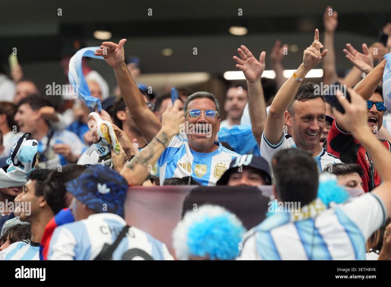 Argentine fans celebrate Argentina's victory over Austria in Group J of ...