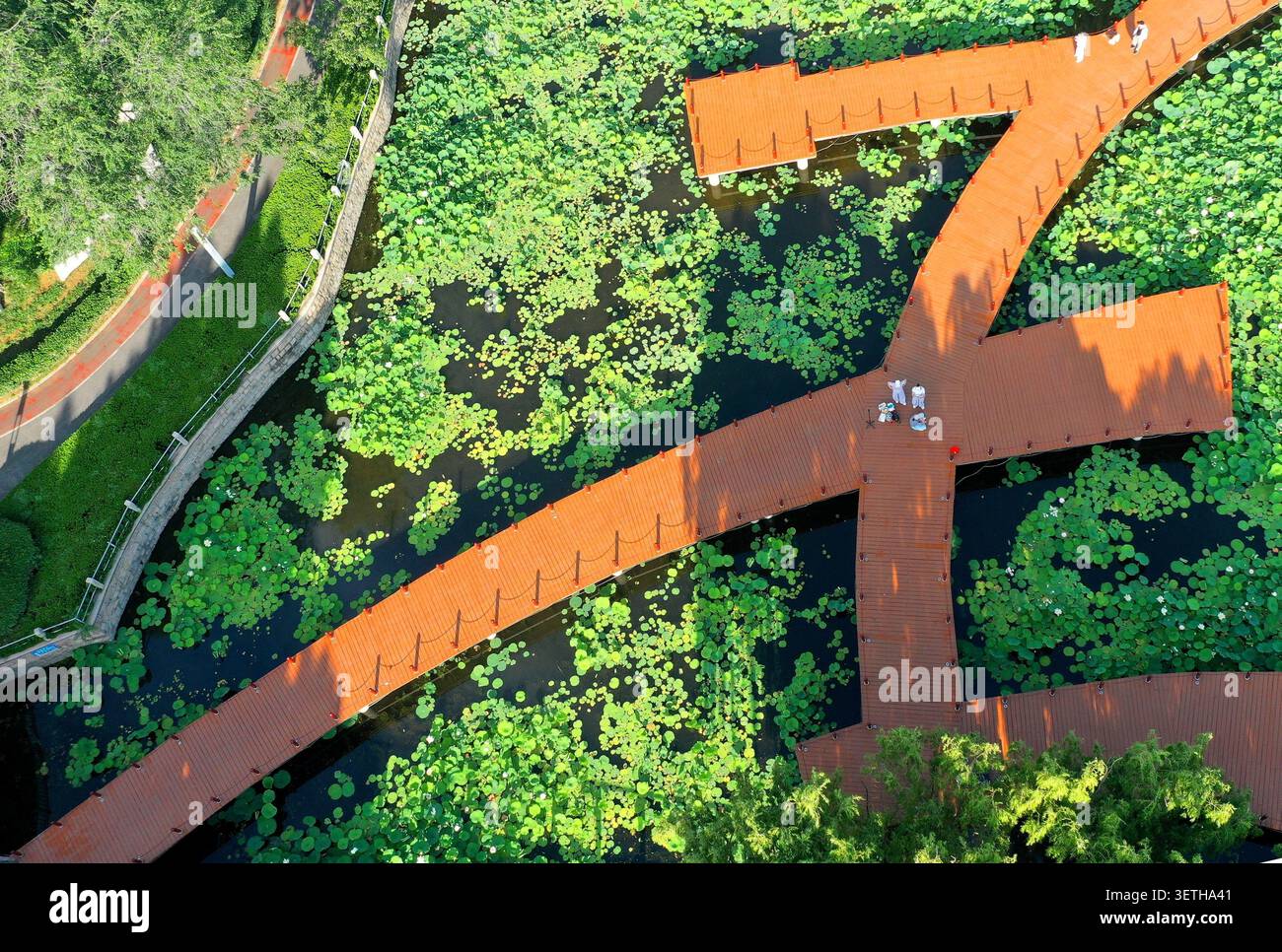 Workers improve water quality and shoreline environment through ...