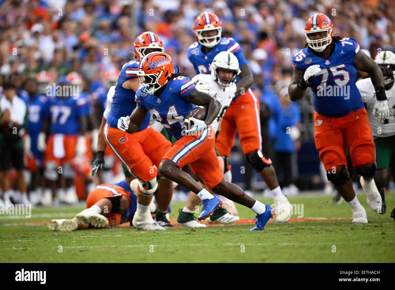 Florida running back Ja'Kobi Jackson (24) rushes for a touchdown ...