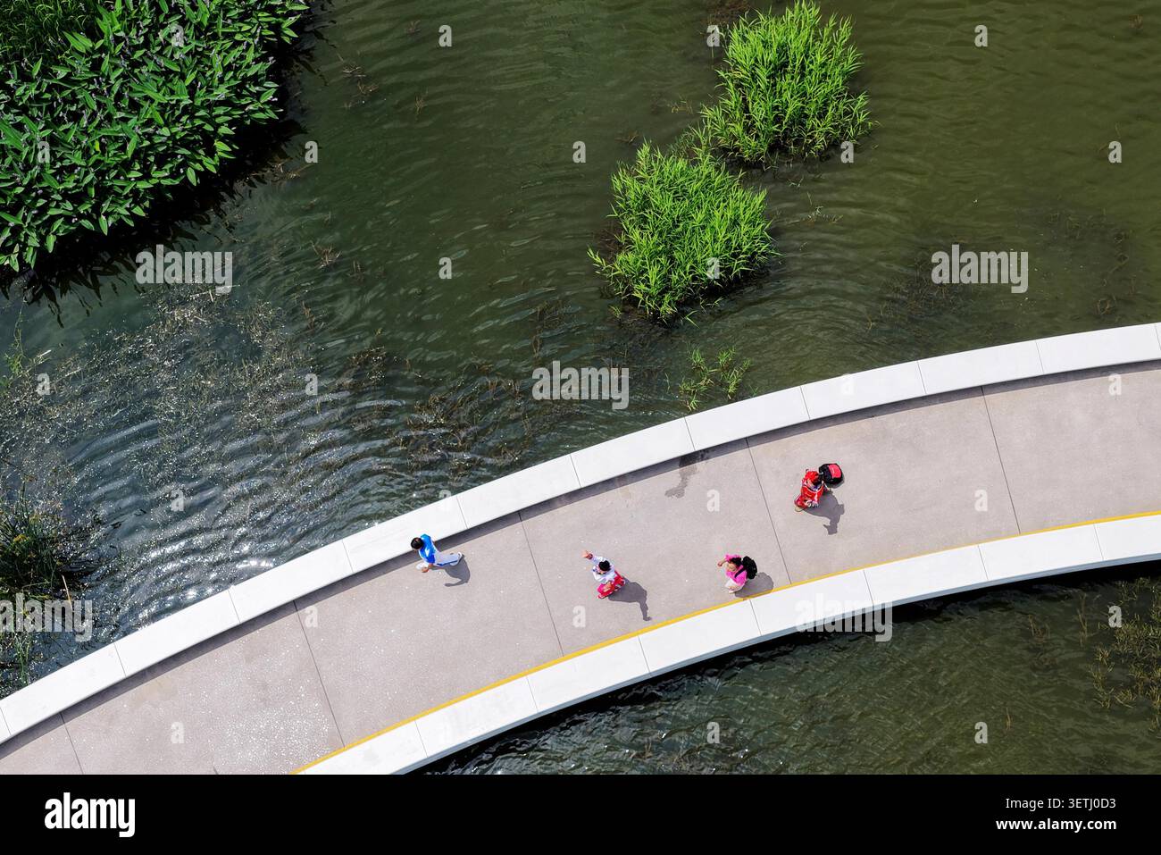 White egrets forage and dance by the clear Zhangcun River near a water ...