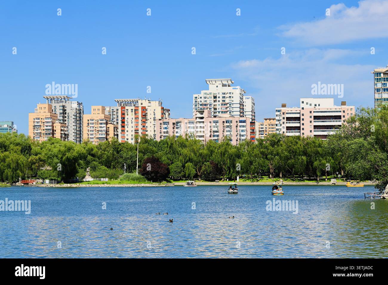 Visitors enjoy boating in Longtan Park with a view of China Zun in ...