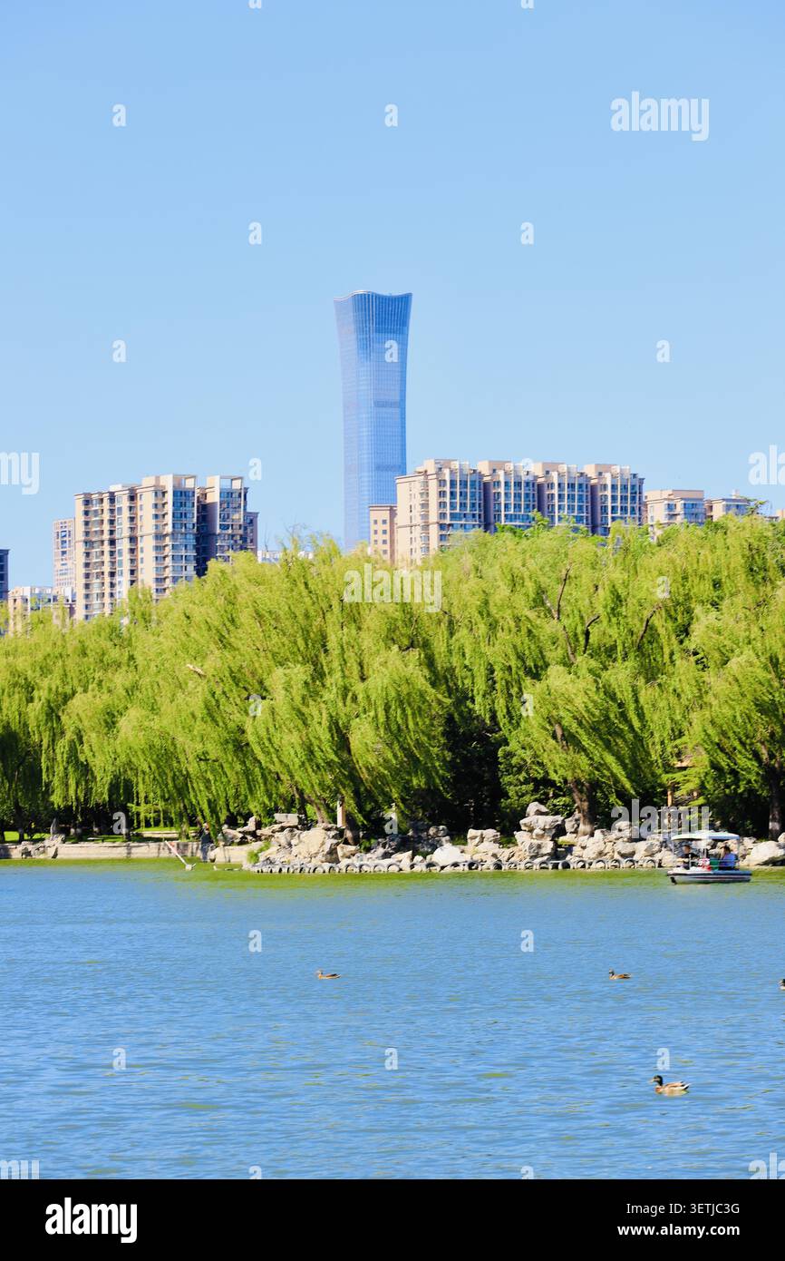 Visitors enjoy boating in Longtan Park with a view of China Zun in ...