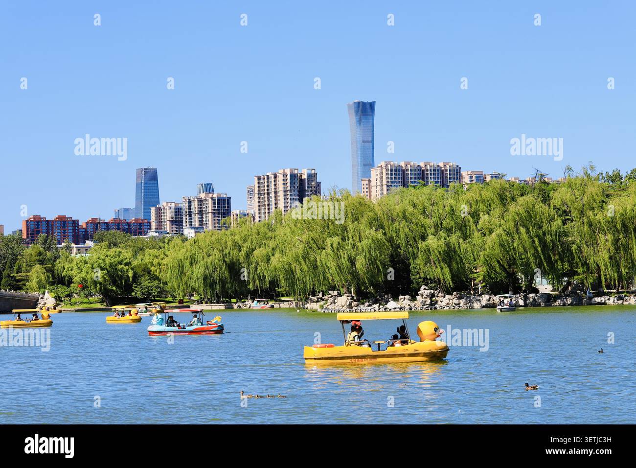 Visitors enjoy boating in Longtan Park with a view of China Zun in ...