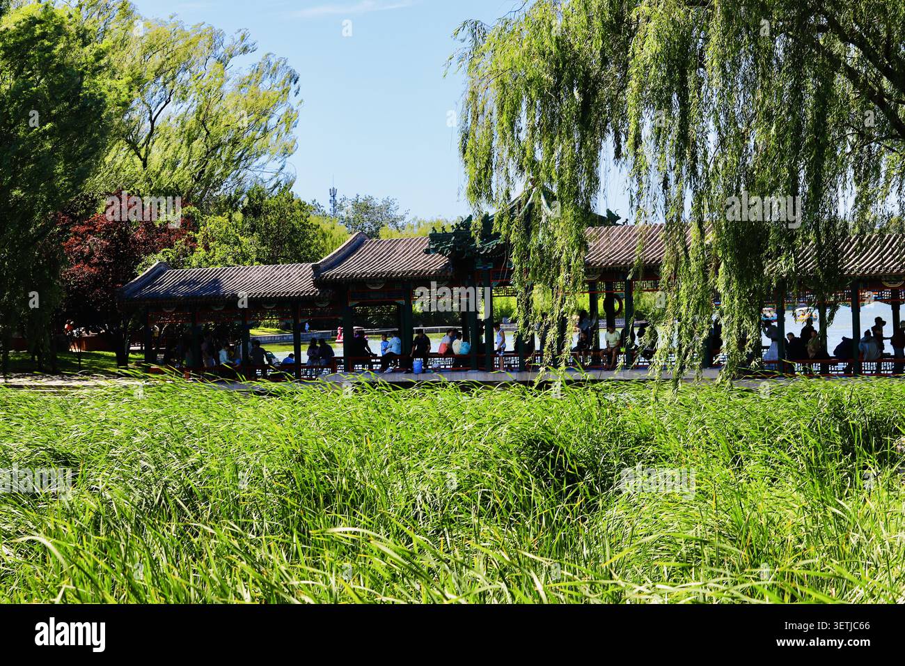 Visitors enjoy boating in Longtan Park with a view of China Zun in ...