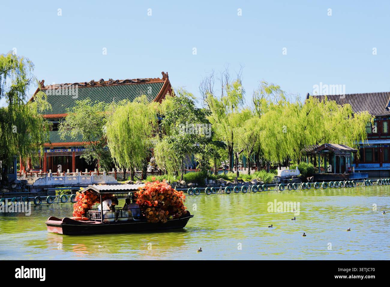 Visitors enjoy boating in Longtan Park with a view of China Zun in ...