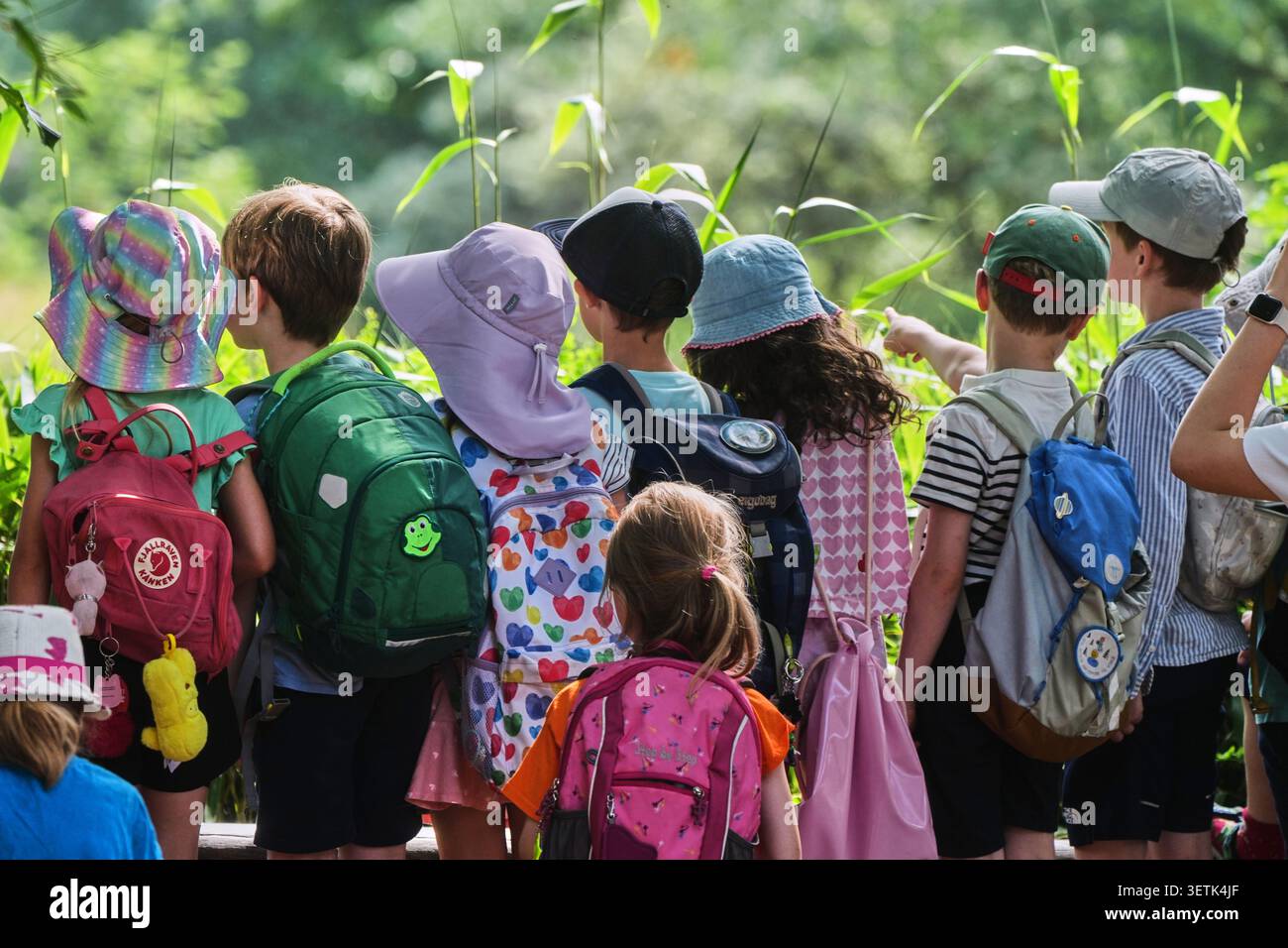 A school class visit the zoo of Kronberg near Frankfurt, Germany ...