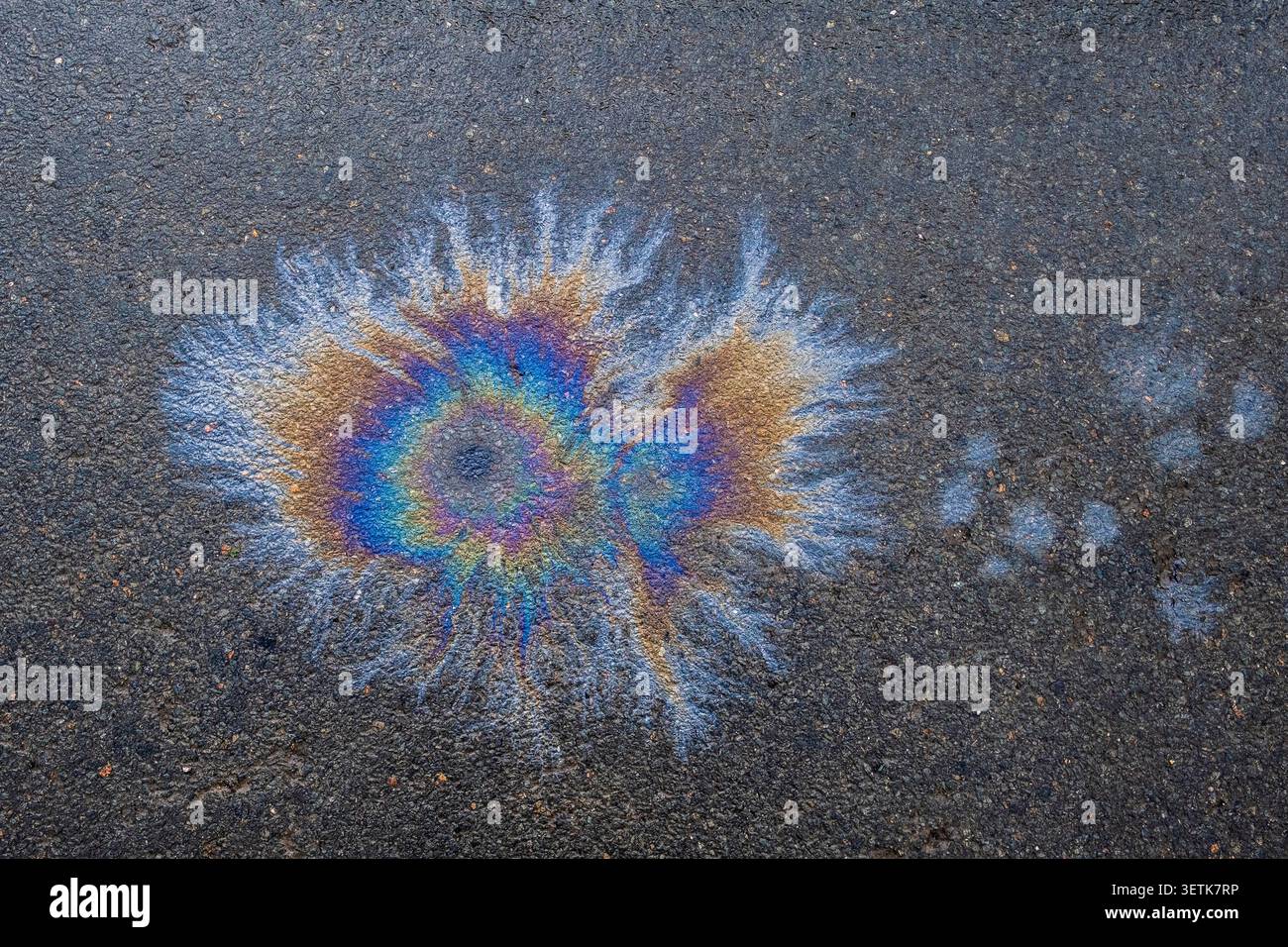 The colourful colorful irridescent rainbow like sheen on a road the ...