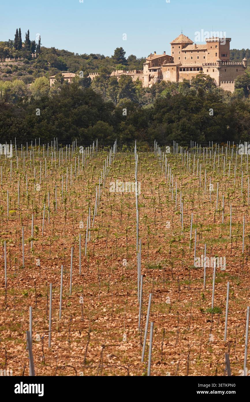 Picturesque castle and vineyards in Tarragona. Castell de Riudabella ...