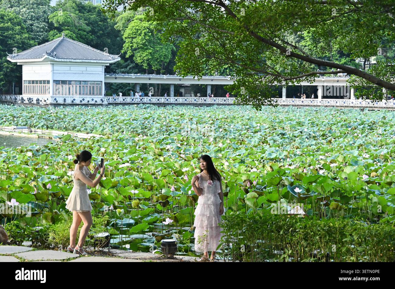 **CHINESE MAINLAND, HONG KONG, MACAU AND TAIWAN OUT**Tourists take ...